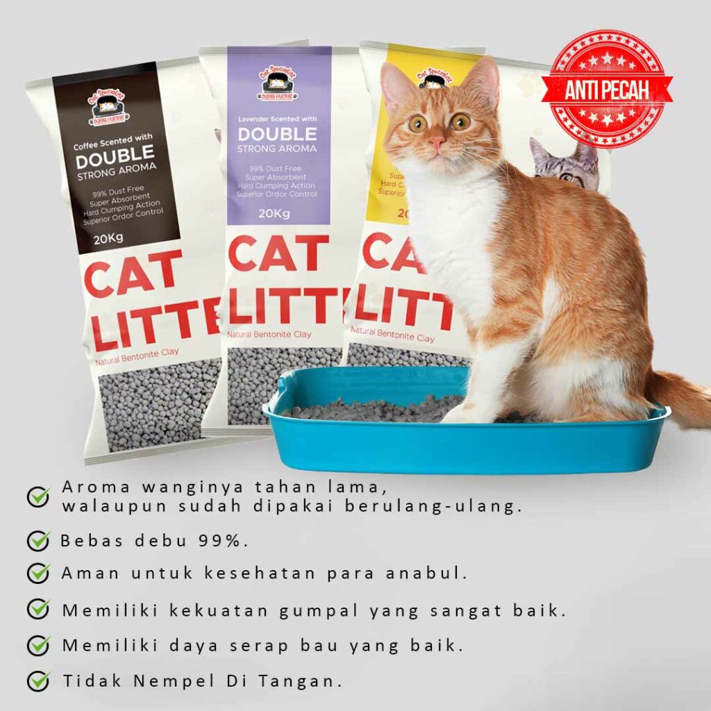 Layanan Kami - The 1st Cat Specialist Hospital